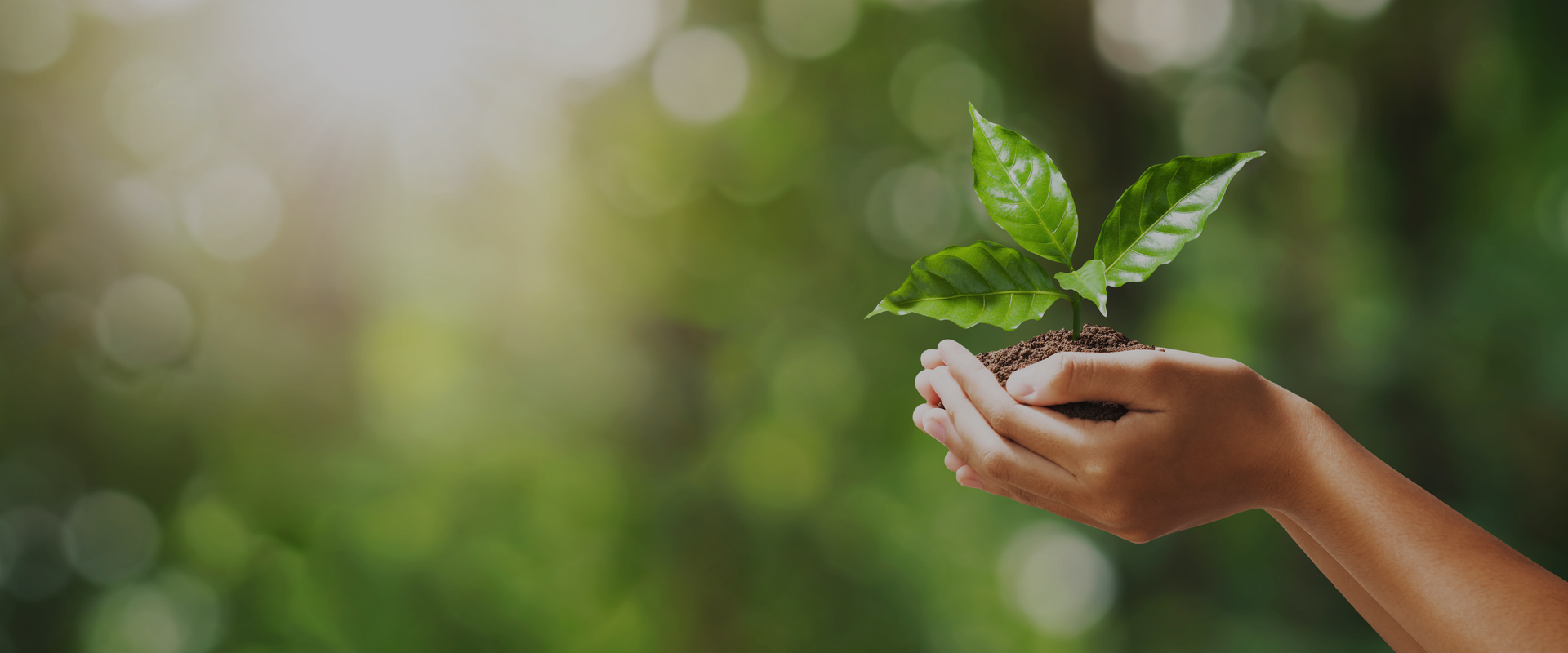 Environmentally Friendly Packaging Films | AA Packaging